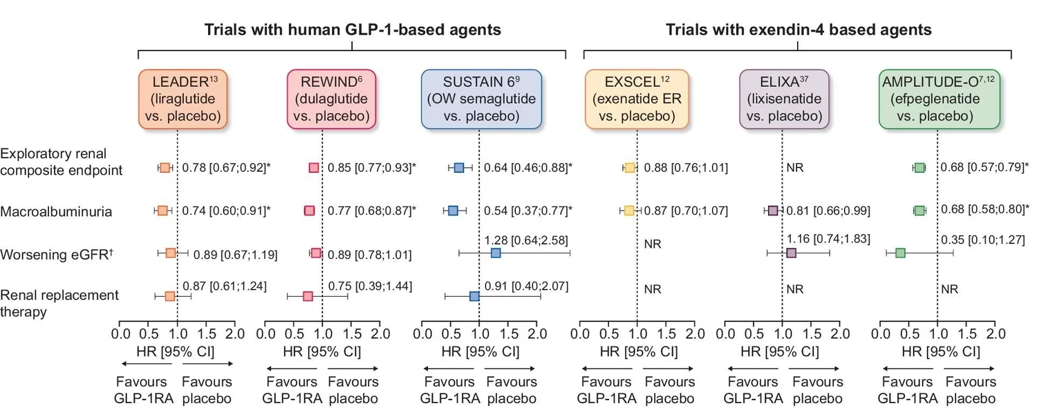 FLOWing with the SemagluTIDE — NephJC