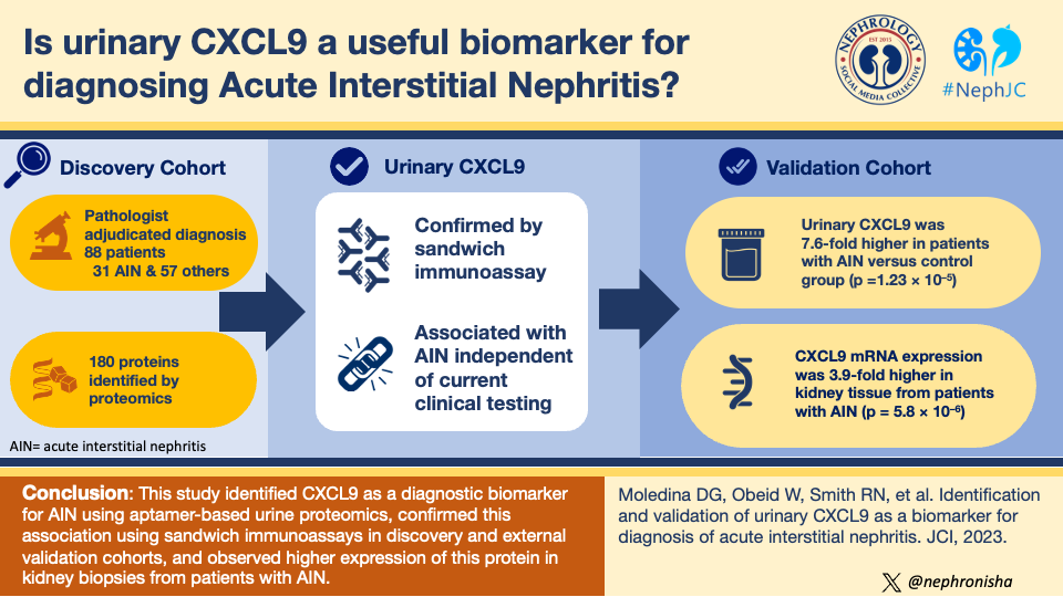 CXCL9 in AIN - Visual abstract — NephJC