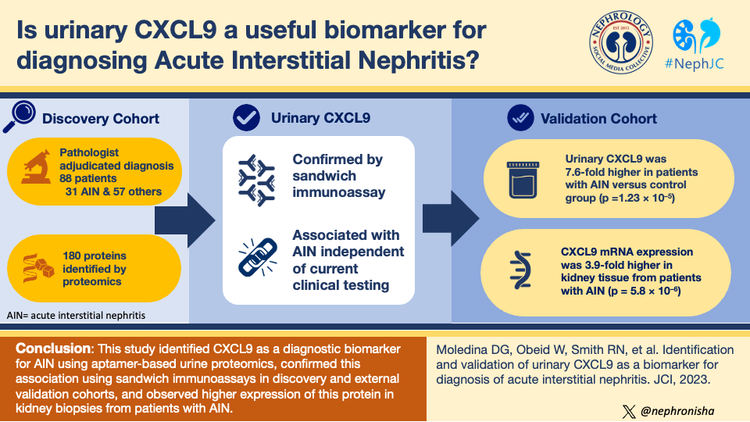 CXCL9 in AIN - Visual abstract — NephJC