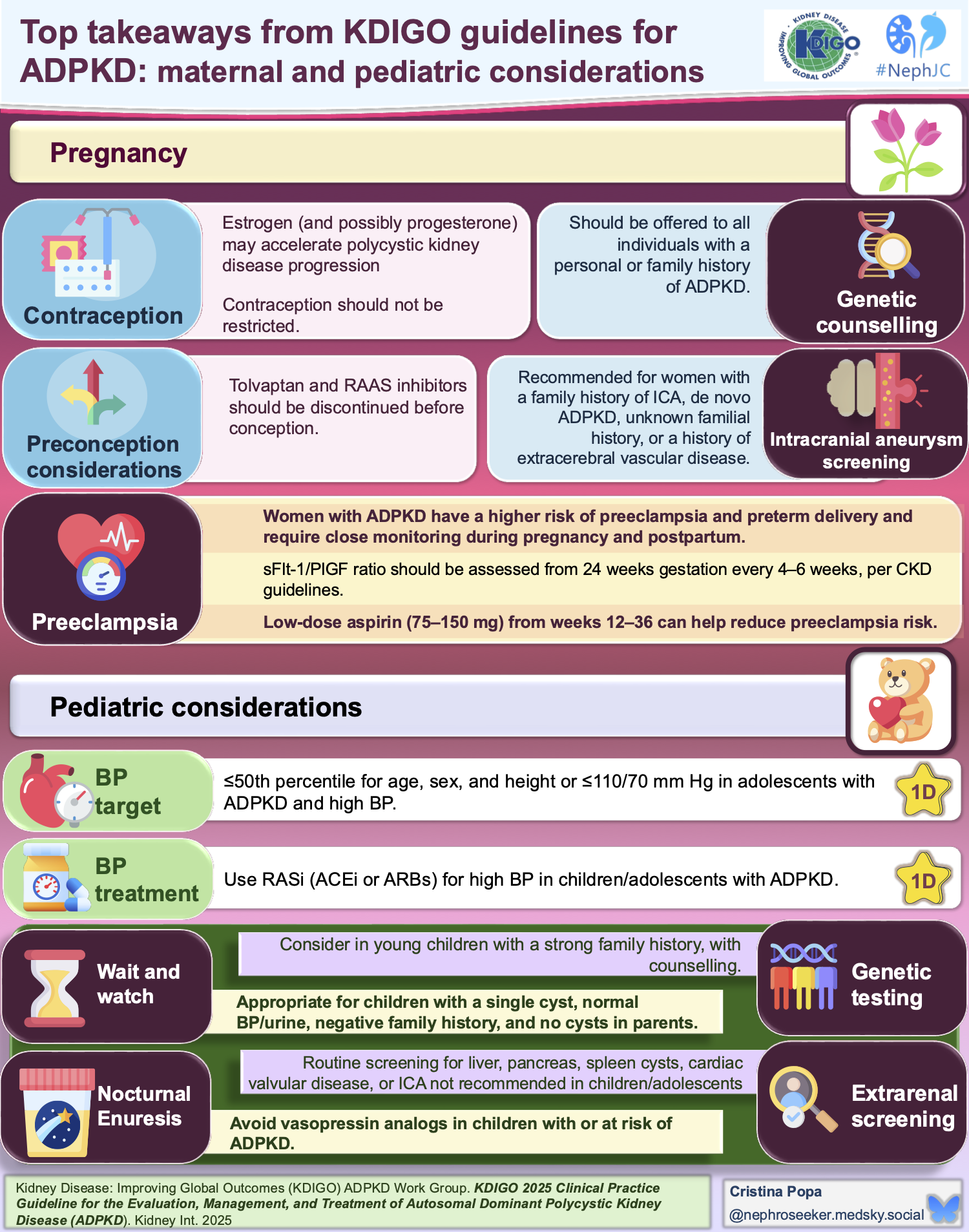 The first KDIGO ADPKD guideline — NephJC
