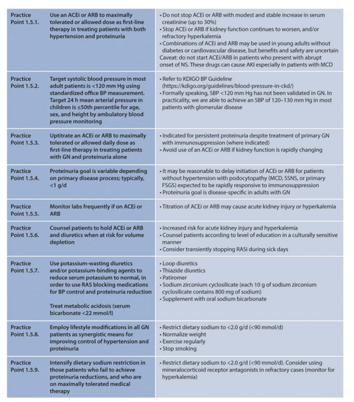 The 2021 KDIGO GN Guidelines — NephJC