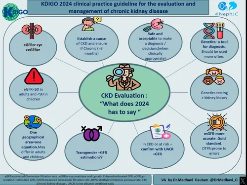 The KDIGO CKD 2024 Guidelines Part 1: Evaluation and Risk ...
