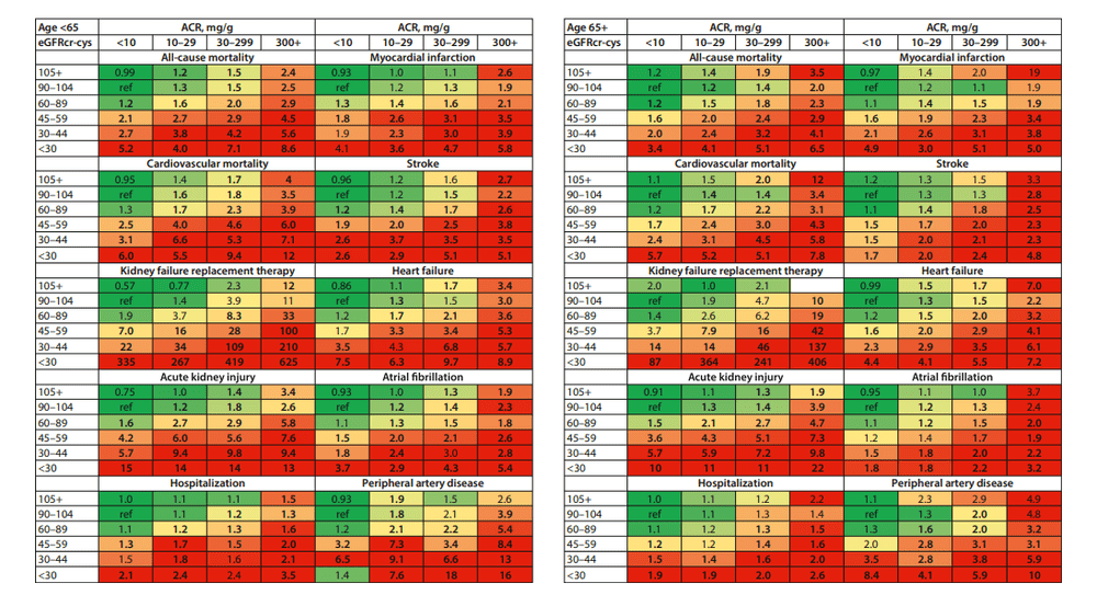The KDIGO CKD 2024 Guidelines Part 1: Evaluation and Risk ...