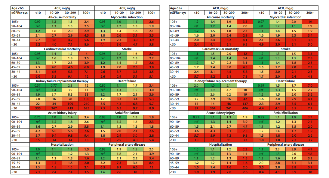 The KDIGO CKD 2024 Guidelines Part 1: Evaluation and Risk ...