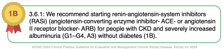 The KDIGO 2024 CKD Guidelines: part 2 — NephJC