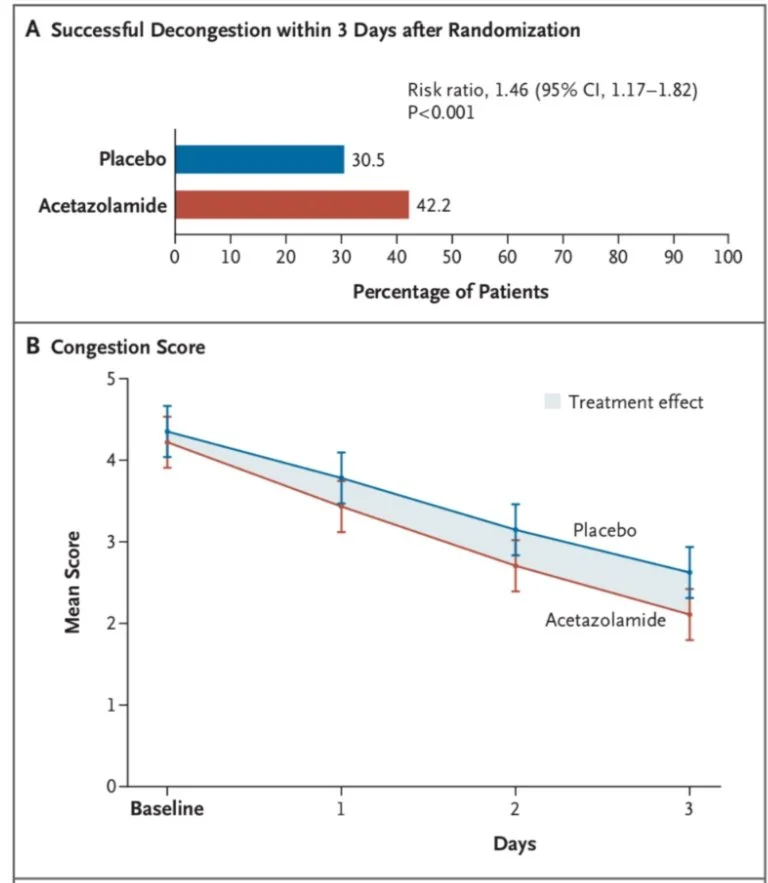 ADVOR TRIAL - Can the addition of a little buddy make a big difference ...