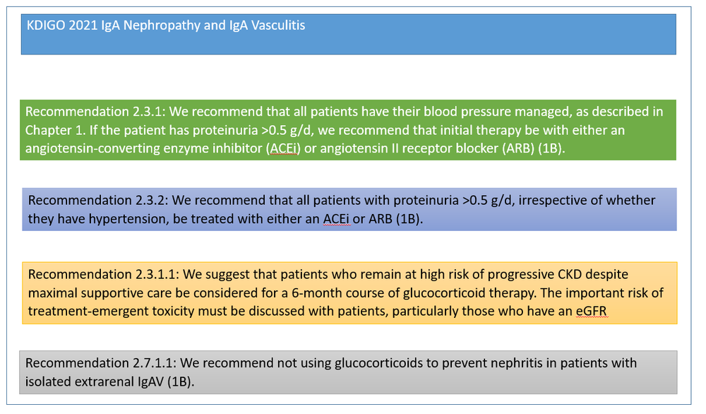 The 2021 KDIGO GN Guidelines — NephJC