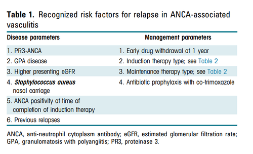 Rituximab, Remission, and Relapses in ANCA Vasculitis — NephJC