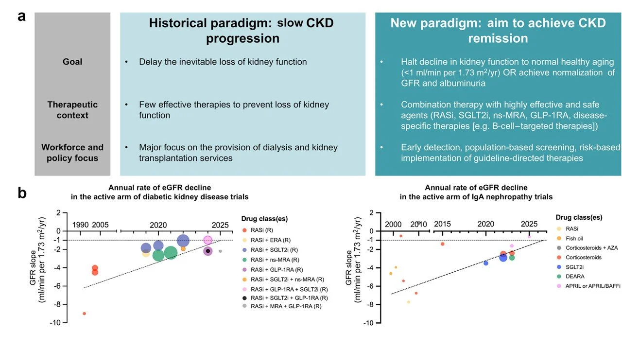 Attacking the Origin of IgAN: ORIGIN3 and Atacicept — NephJC