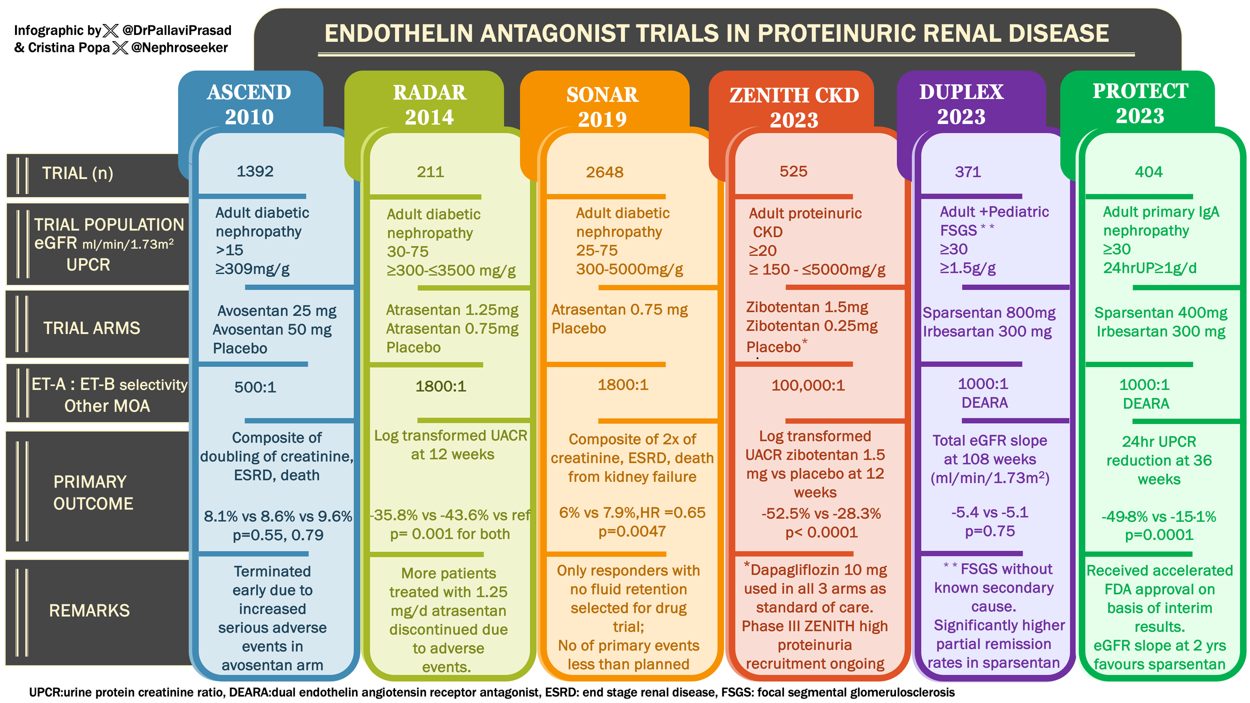 Zibotentan and Flozins: Climbing to the ZENITH of nephroprotection ...