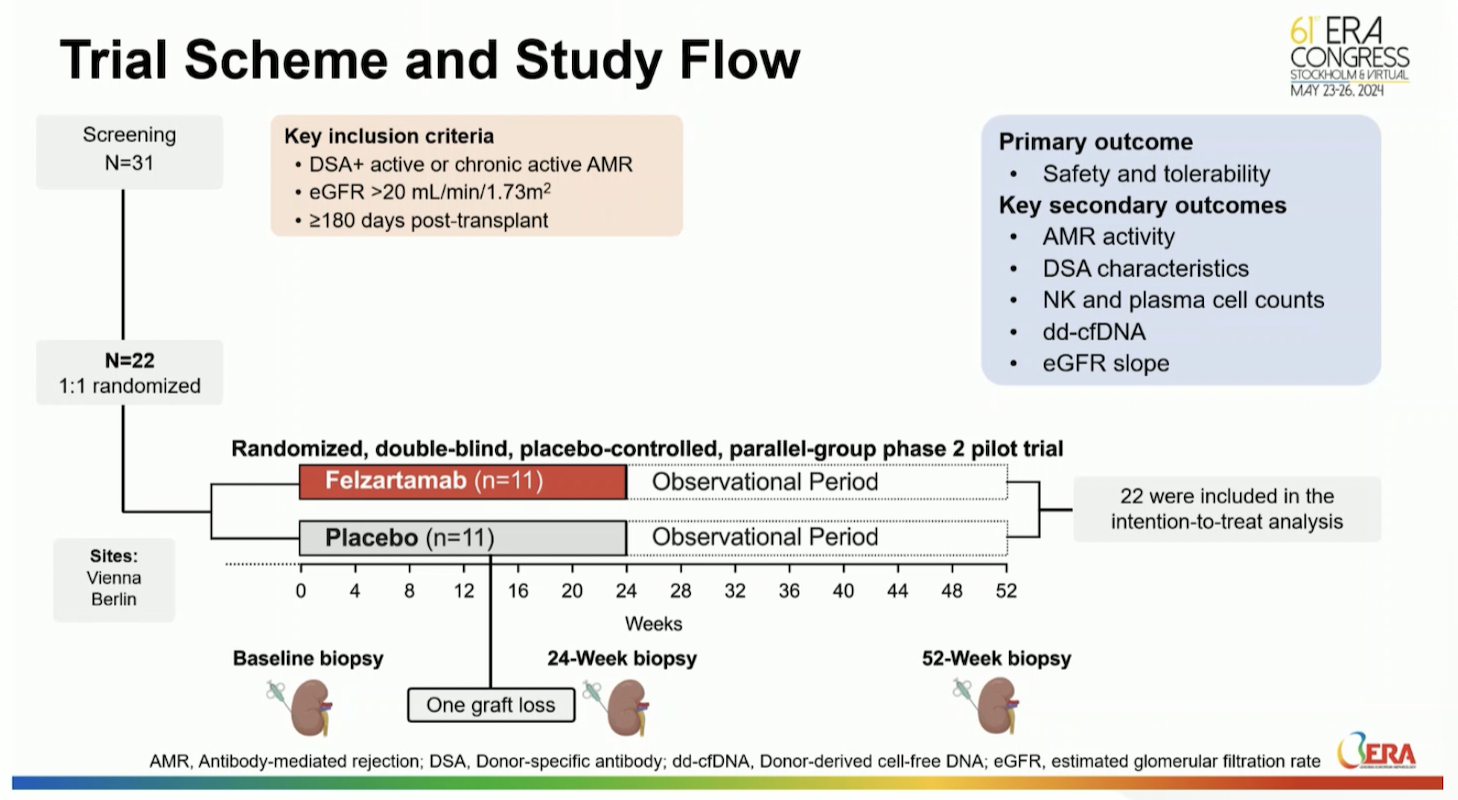 Playing It Safe: Can Felzartamab Fill the Gap in AMR Treatment? — NephJC