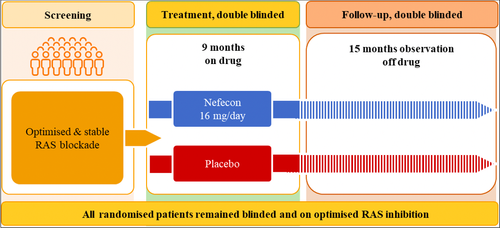 Healing, Hype, or Harm: The NefIgArd trial — NephJC