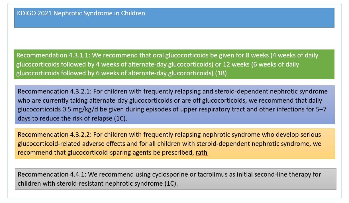 The 2021 KDIGO GN Guidelines — NephJC