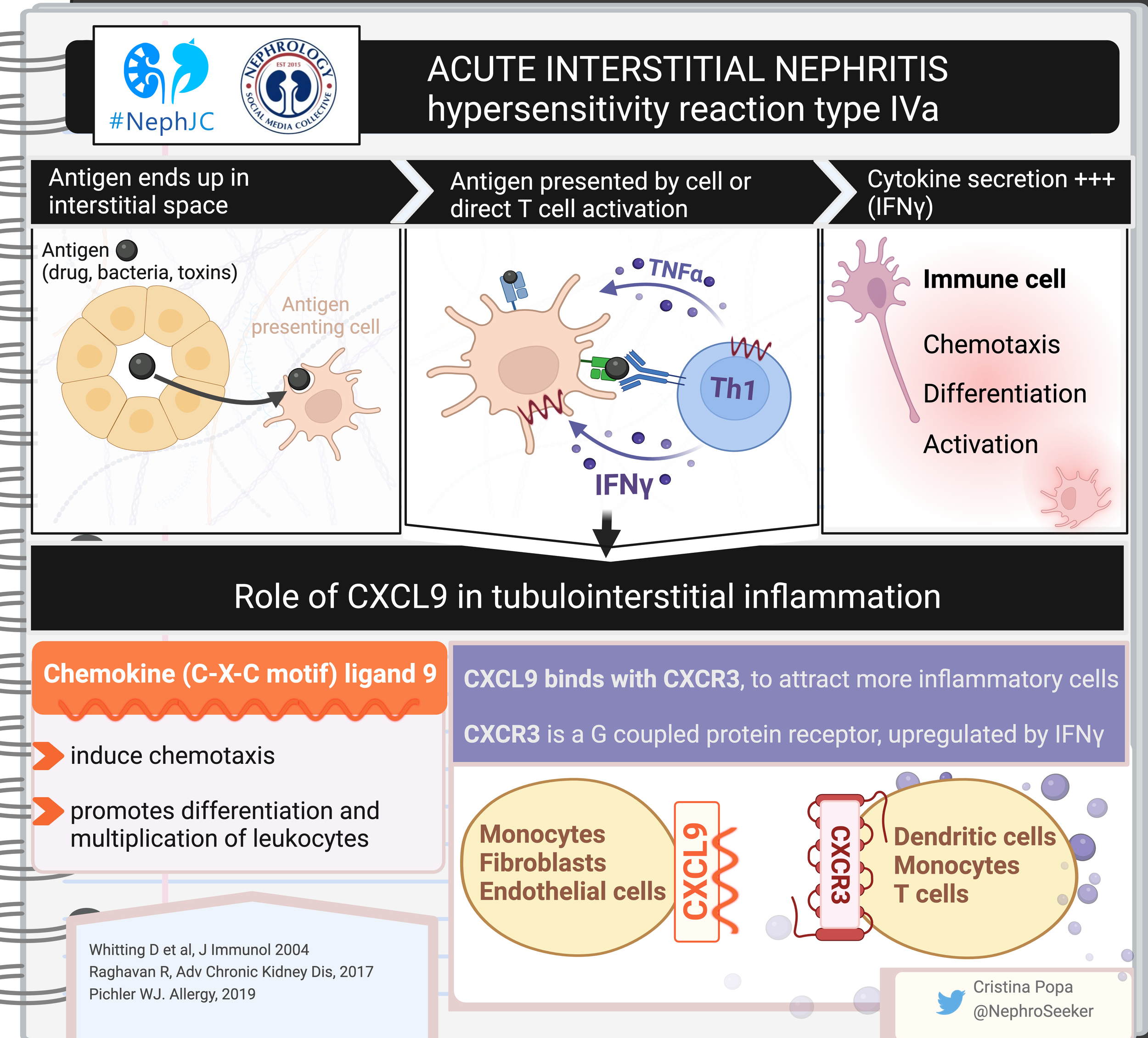 CXCL9: A Urinary Marker ExplAINed — NephJC