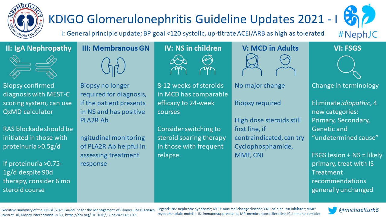 2021 KDIGO Updates for Glomerular Disease: The Visual Abstract — NephJC