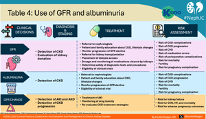The KDIGO CKD 2024 Guidelines Part 1: Evaluation and Risk ...