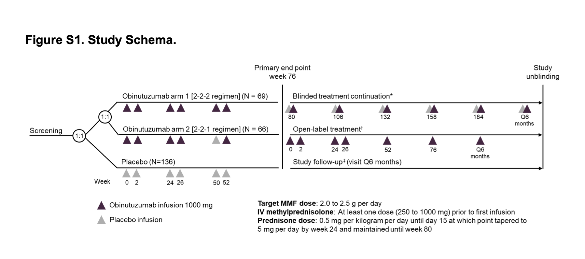 Obinutuzumab in Lupus Nephritis — NephJC