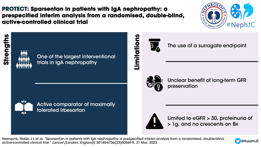 Sparsentan in IgA Nephropathy : The PROTECT trial — NephJC