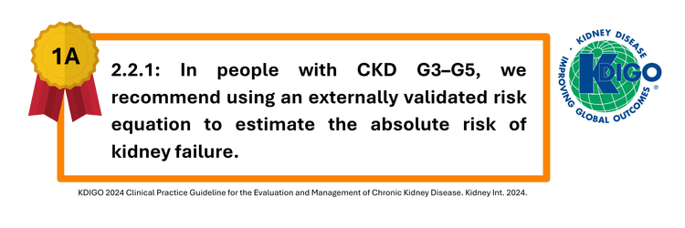 The KDIGO CKD 2024 Guidelines Part 1: Evaluation and Risk ...