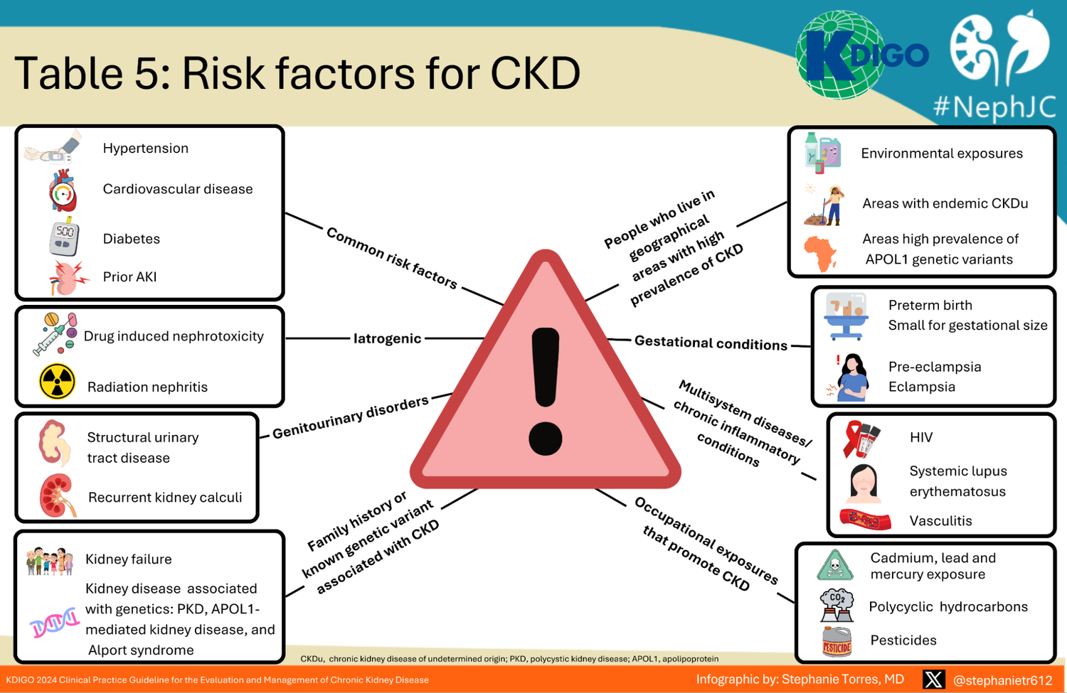 The KDIGO CKD 2024 Guidelines Part 1: Evaluation and Risk ...