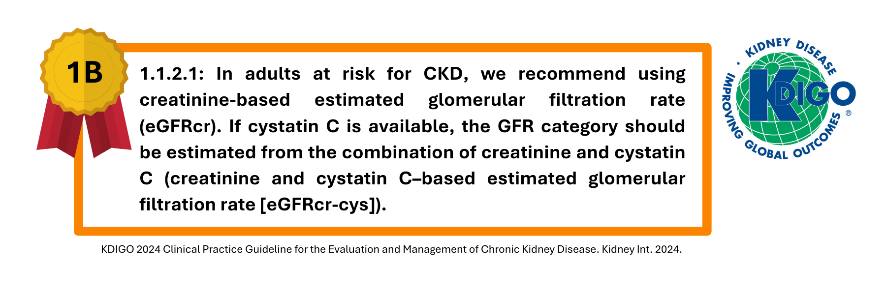 The KDIGO CKD 2024 Guidelines Part 1: Evaluation and Risk ...