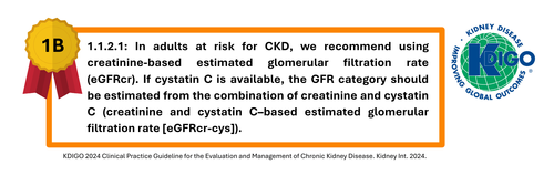 The KDIGO CKD 2024 Guidelines Part 1: Evaluation and Risk ...