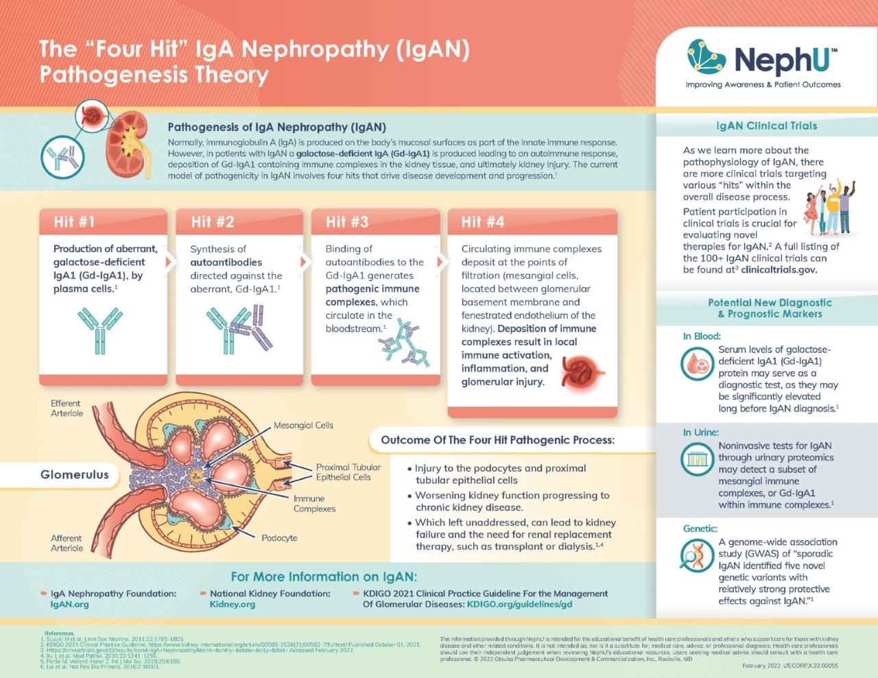 Nefecon in IgA Nephropathy, the Nefigard trial — NephJC