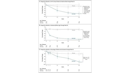 Attacking the Origin of IgAN: ORIGIN3 and Atacicept — NephJC