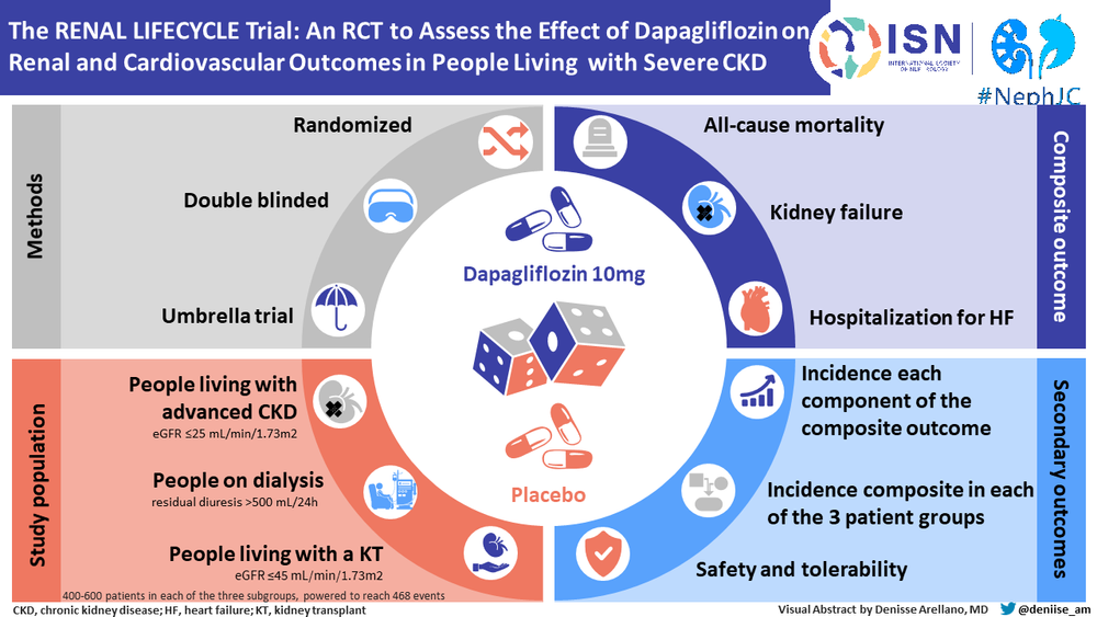 NephTrials: Basket Trials, Umbrella Trials, and the RENAL LIFECYCLE ...