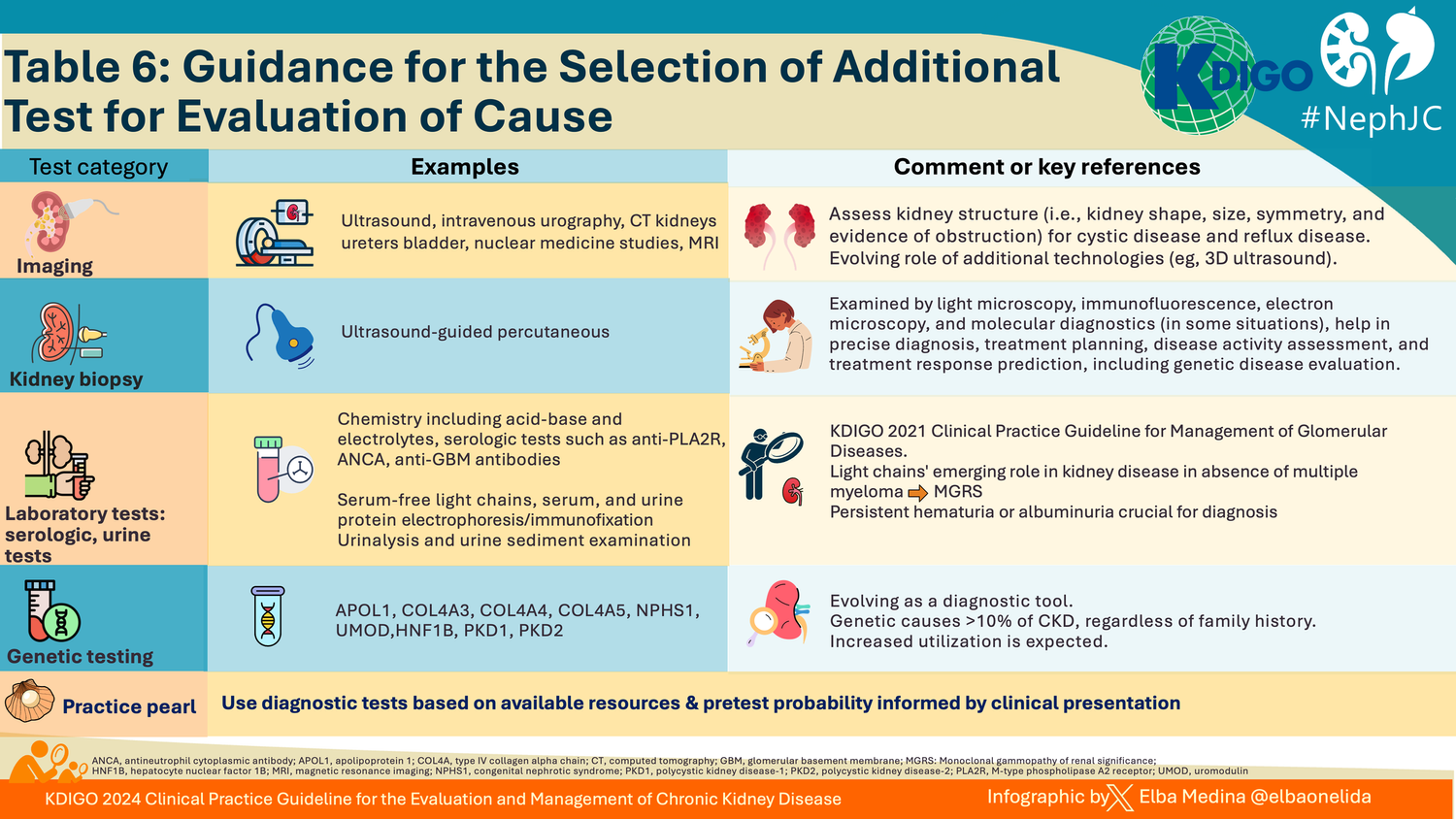The KDIGO CKD 2024 Guidelines Part 1: Evaluation and Risk ...