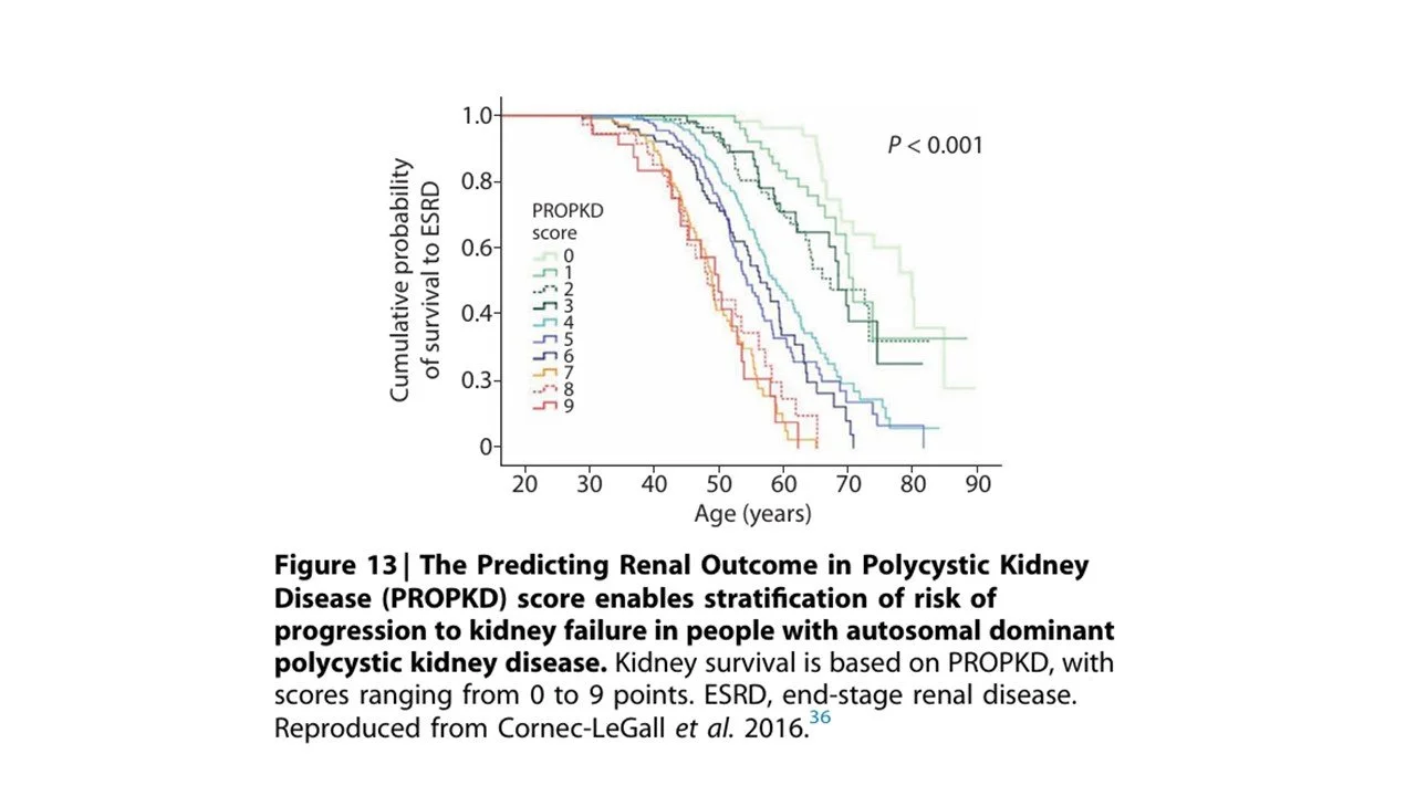 KDIGO 2025 ADPKD Guidelines Review — NephJC