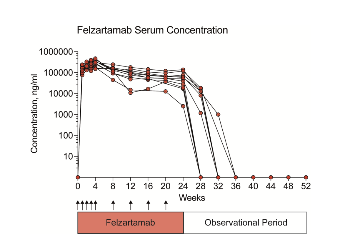 Playing It Safe: Can Felzartamab Fill the Gap in AMR Treatment? — NephJC
