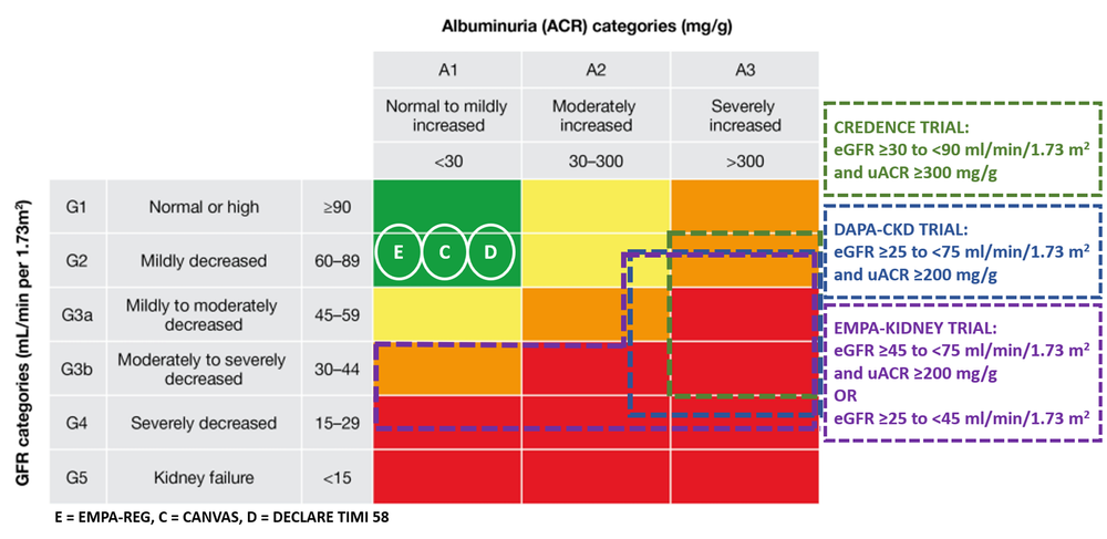 EMPA-Kidney: ‘Empa’sizing the role of Flozins in Chronic Kidney Disease — NephJC
