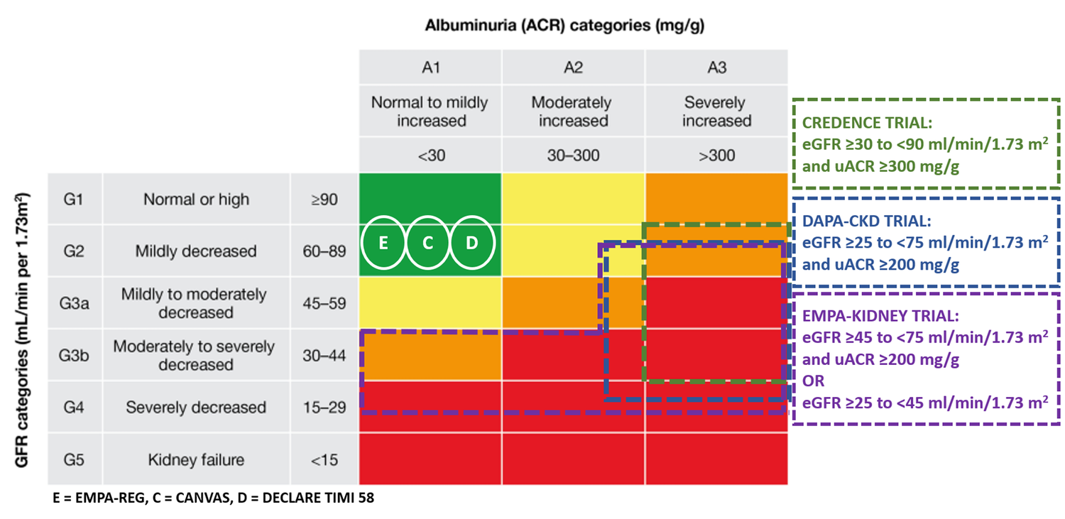 EMPA-Kidney: ‘Empa’sizing the role of Flozins in Chronic Kidney Disease — NephJC