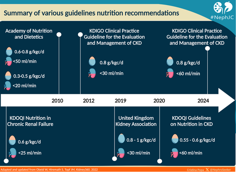 The KDIGO 2024 CKD Guidelines: part 2 — NephJC