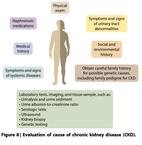 The KDIGO CKD 2024 Guidelines Part 1: Evaluation and Risk ...