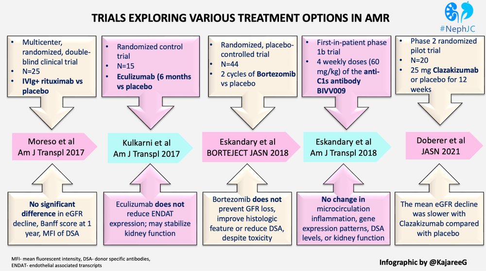 Playing It Safe: Can Felzartamab Fill the Gap in AMR Treatment? — NephJC