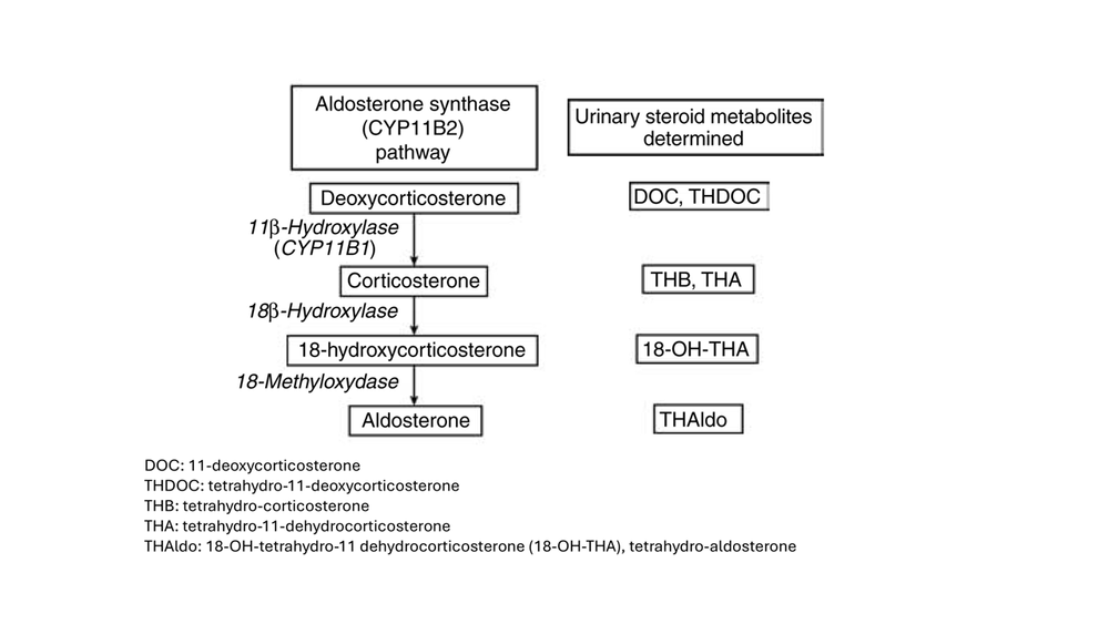 Undercover Aldosterone — NephJC