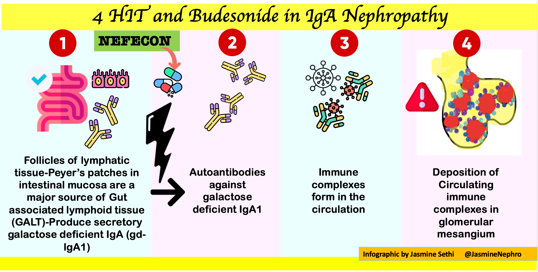 Healing, Hype, or Harm: The NefIgArd trial — NephJC