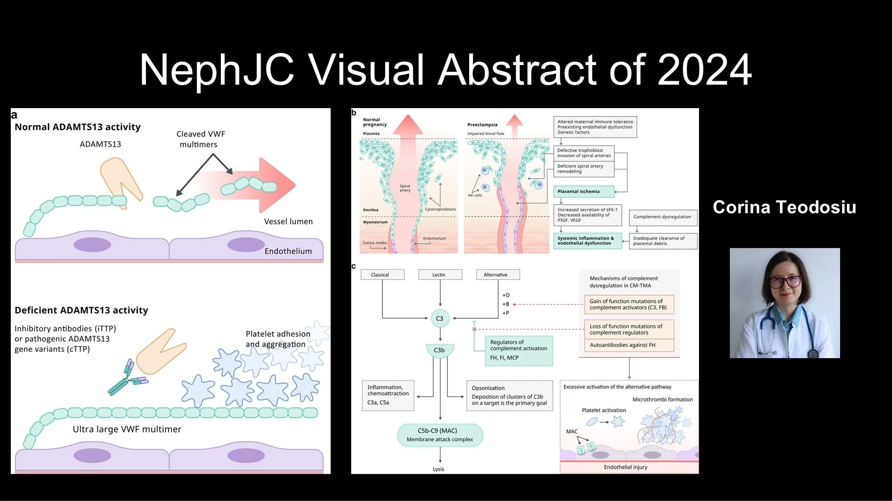 The 2024 NephJC Kidneys Award Winners — NephJC