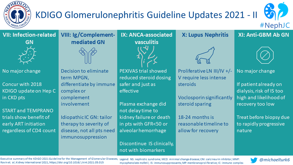 2021 KDIGO Updates for Glomerular Disease: The Visual Abstract — NephJC