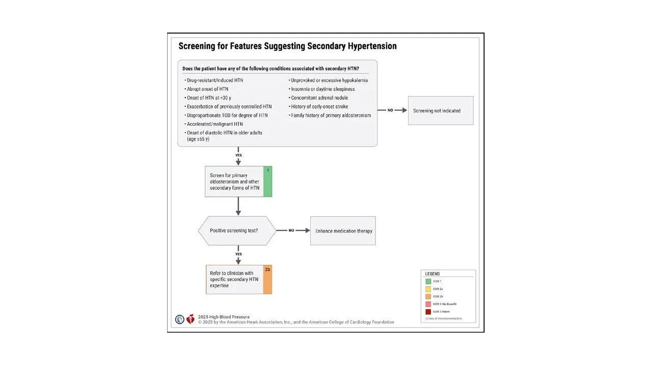 PREVENT, Detect, Treat: What’s New in the 2025 Hypertension Toolkit ...