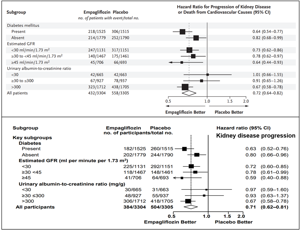 EMPA-Kidney: ‘Empa’sizing the role of Flozins in Chronic Kidney Disease ...