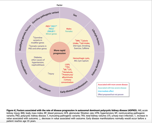 KDIGO 2025 ADPKD Guidelines Review — NephJC