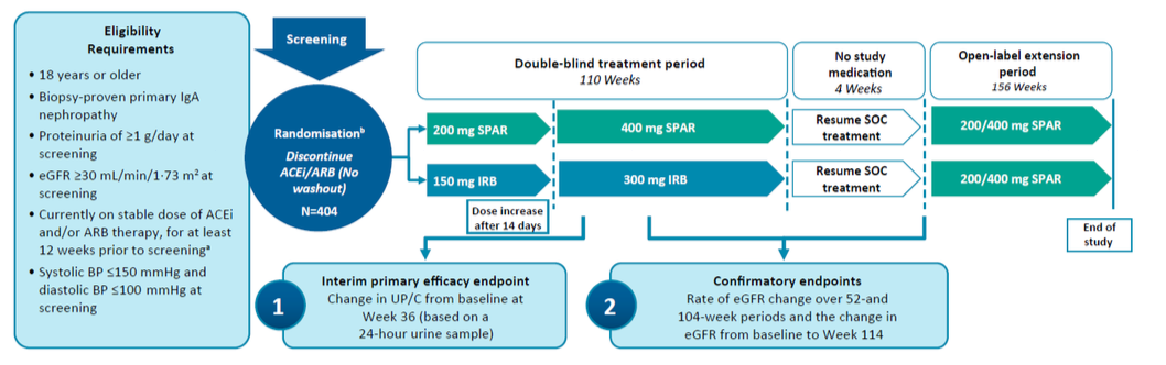 Sparsentan in IgA Nephropathy : The PROTECT trial — NephJC