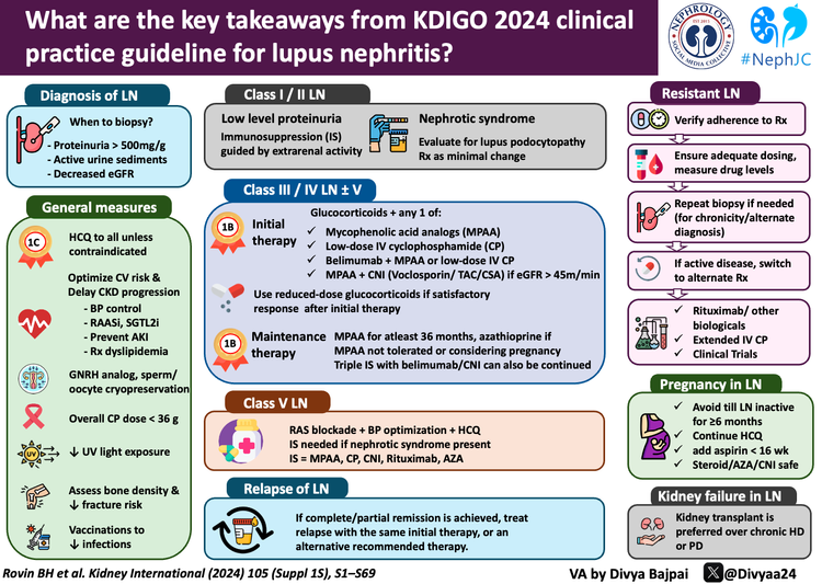KDIGO 2024 Lupus Nephritis Guidelines - Visual Abstract — NephJC