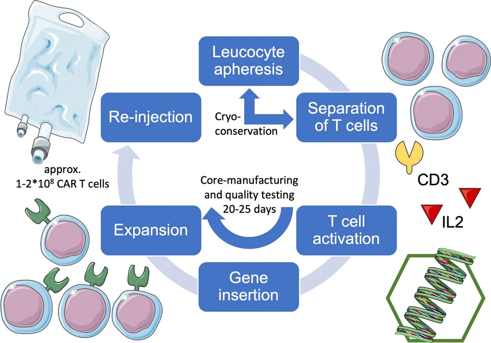 Is the horse before the CAR T in SLE? — NephJC