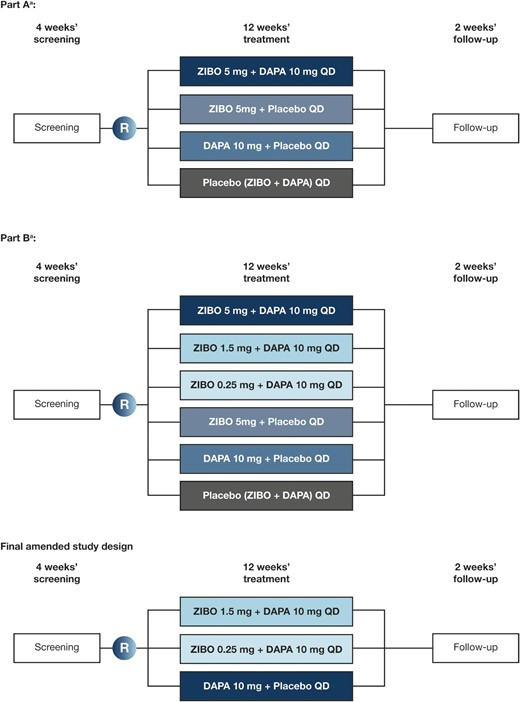 Zibotentan and Flozins: Climbing to the ZENITH of nephroprotection ...