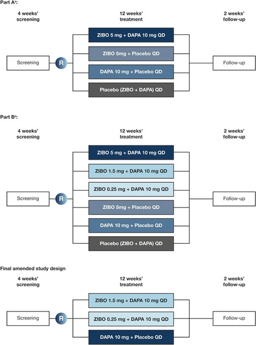 Zibotentan and Flozins: Climbing to the ZENITH of nephroprotection ...