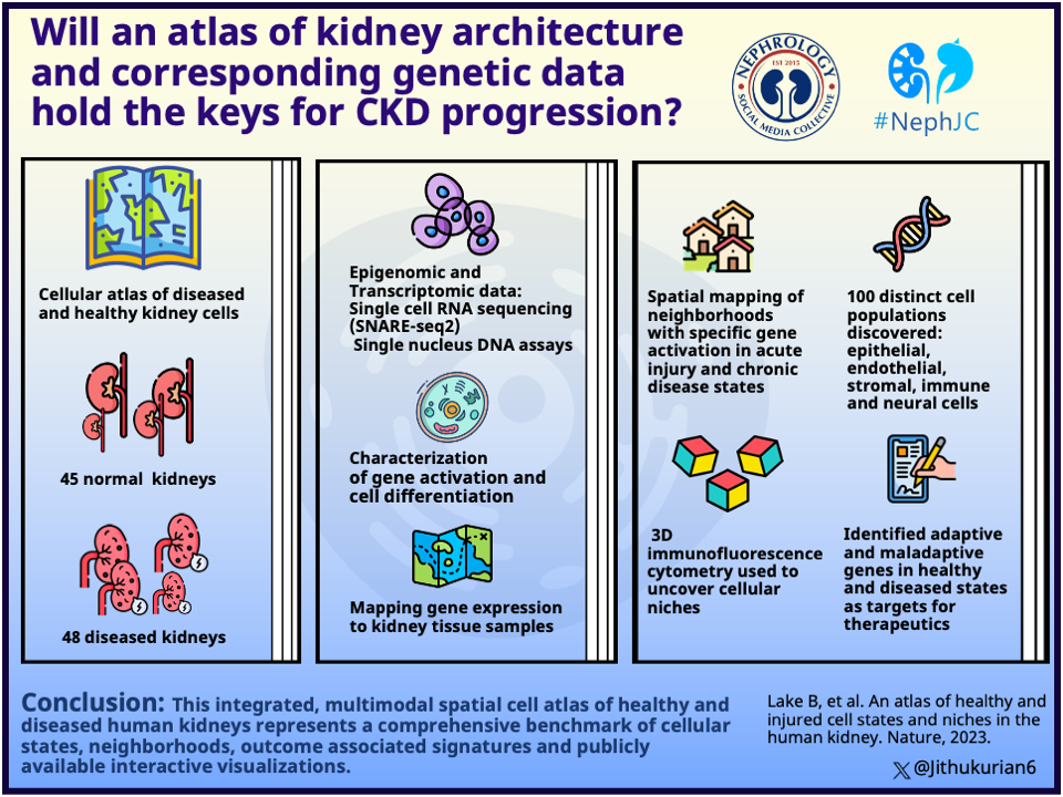 The Kidney Cellular Architecture Atlas — NephJC
